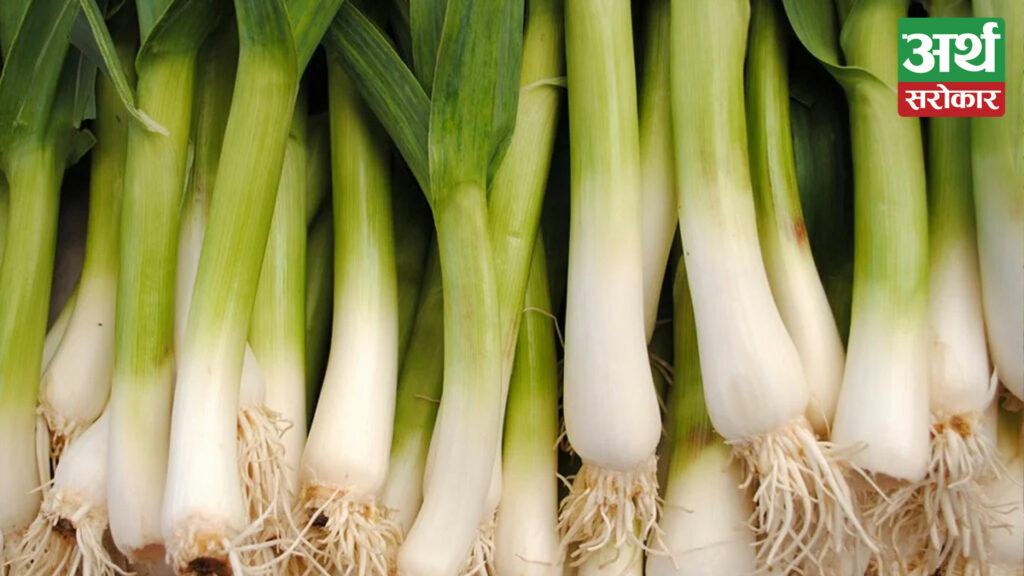 हरियो लसुनको मूल्य घट्यो, सोमबार यस्तो छ अन्य तरकारी तथा फलफूलको भाउ – Artha Sarokar :: Nepal's ...